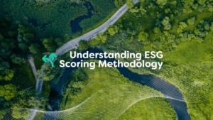 Understanding the ESG Scoring Methodology - Rimm Sustainability