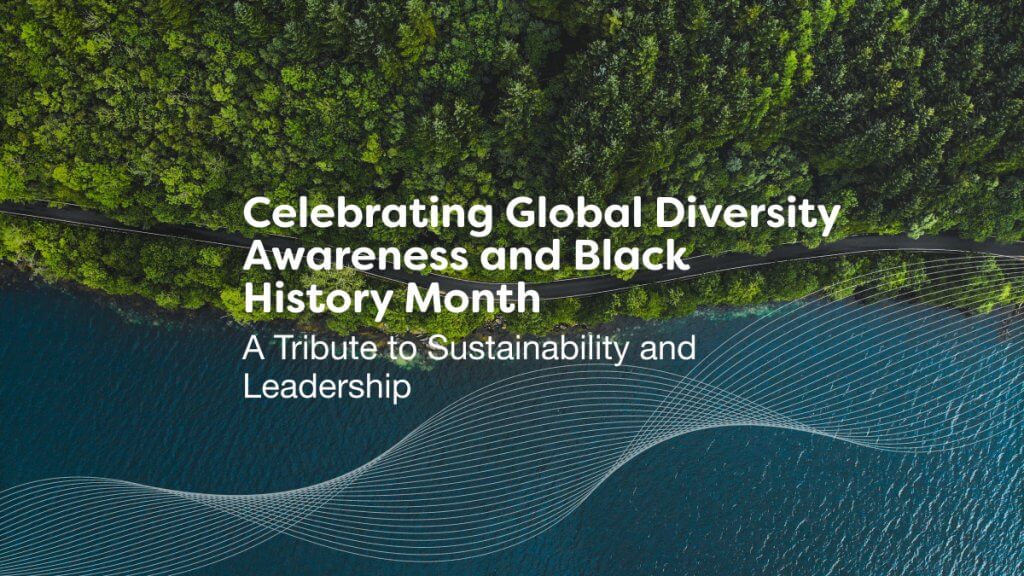 About Rimm Sustainability